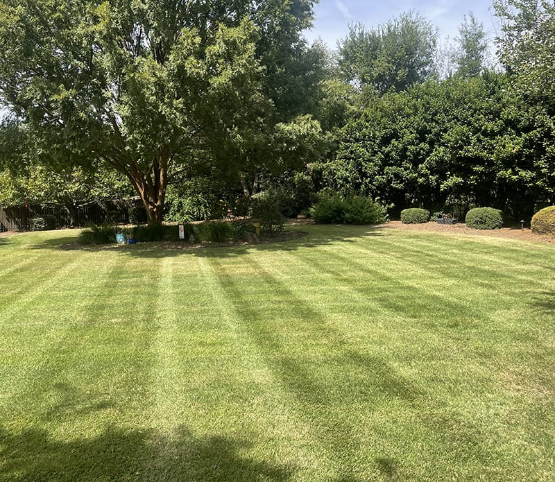 Elevating Business Exteriors with Premium Commercial Lawn Care in ...
